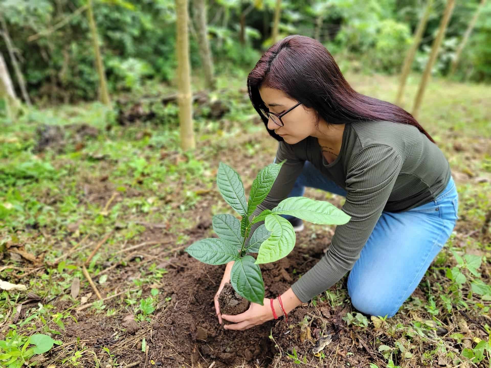 TMA - Reforestation & Regenerative Agroforestry in Coastal Ecuador