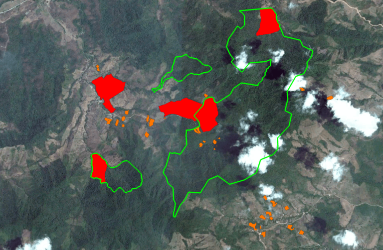 Brief Catalog of Reforestation Methods by TMA - TMA