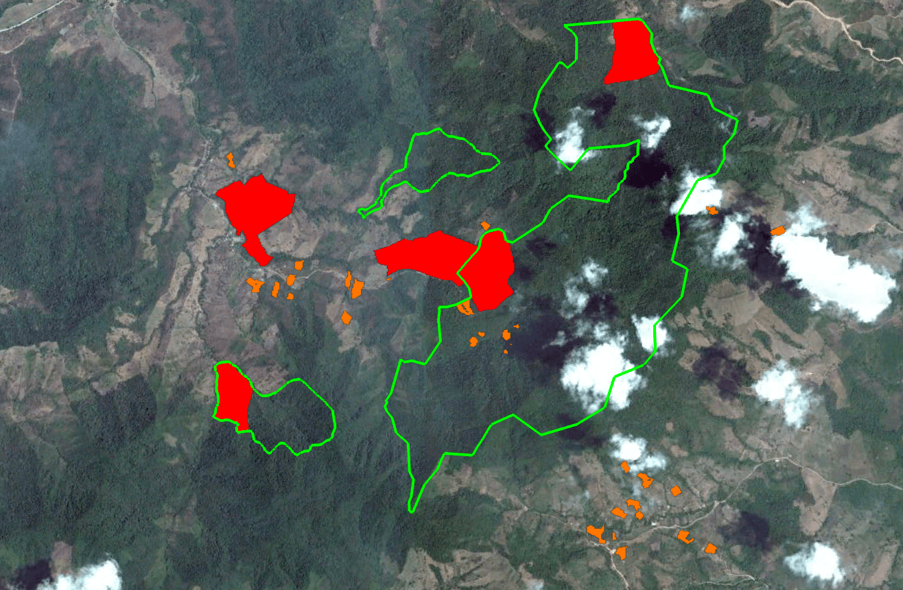 Brief Catalog of Reforestation Methods by TMA - TMA