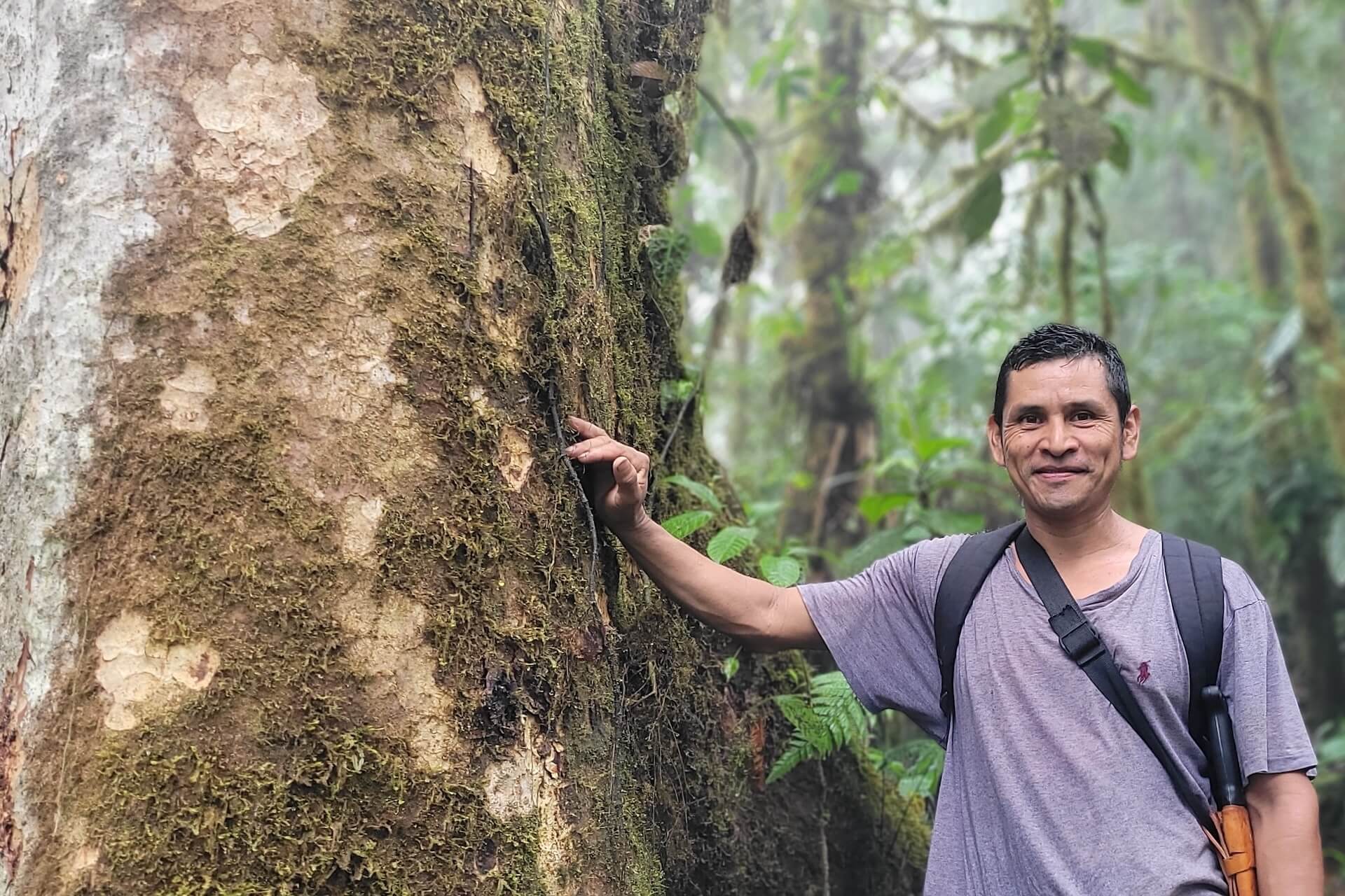 Community Forests Program (Bosques Comunitarios) - TMA