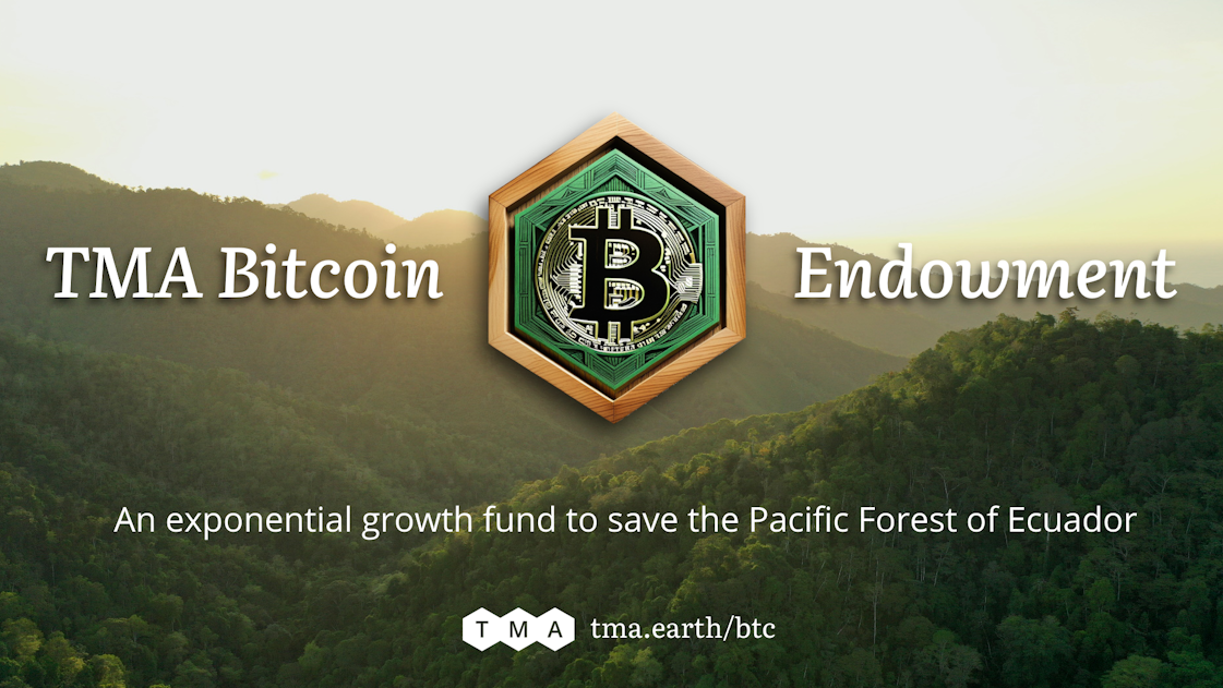 Bitcoin Endowment - TMA